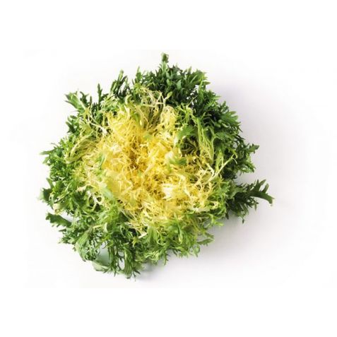 LETTUCE FRISEE YELLOW KG